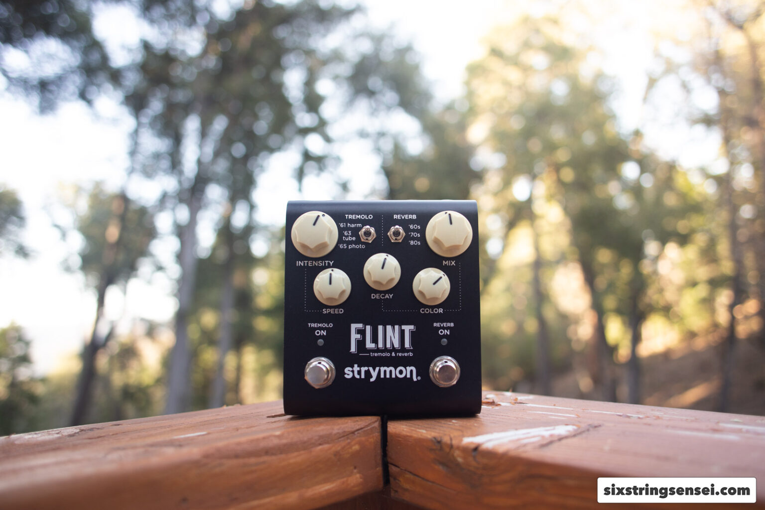 Is The Strymon Flint Still Worth It? Review by SixStringSensei